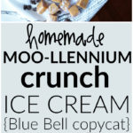 homemade moo-llennium crunch ice cream | The Baking Fairy - The Baking ...